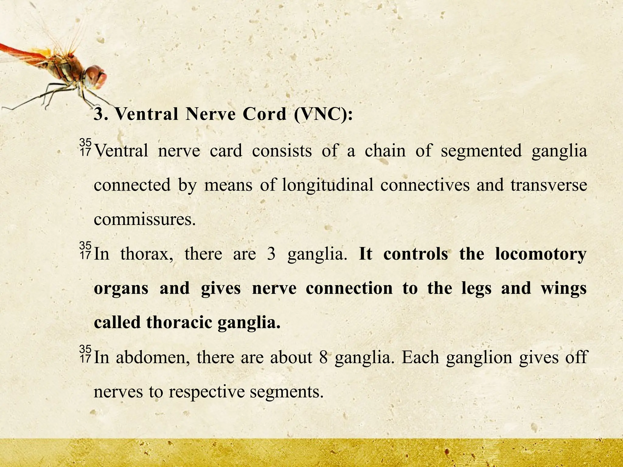 To study the nervous system of insect.pptx