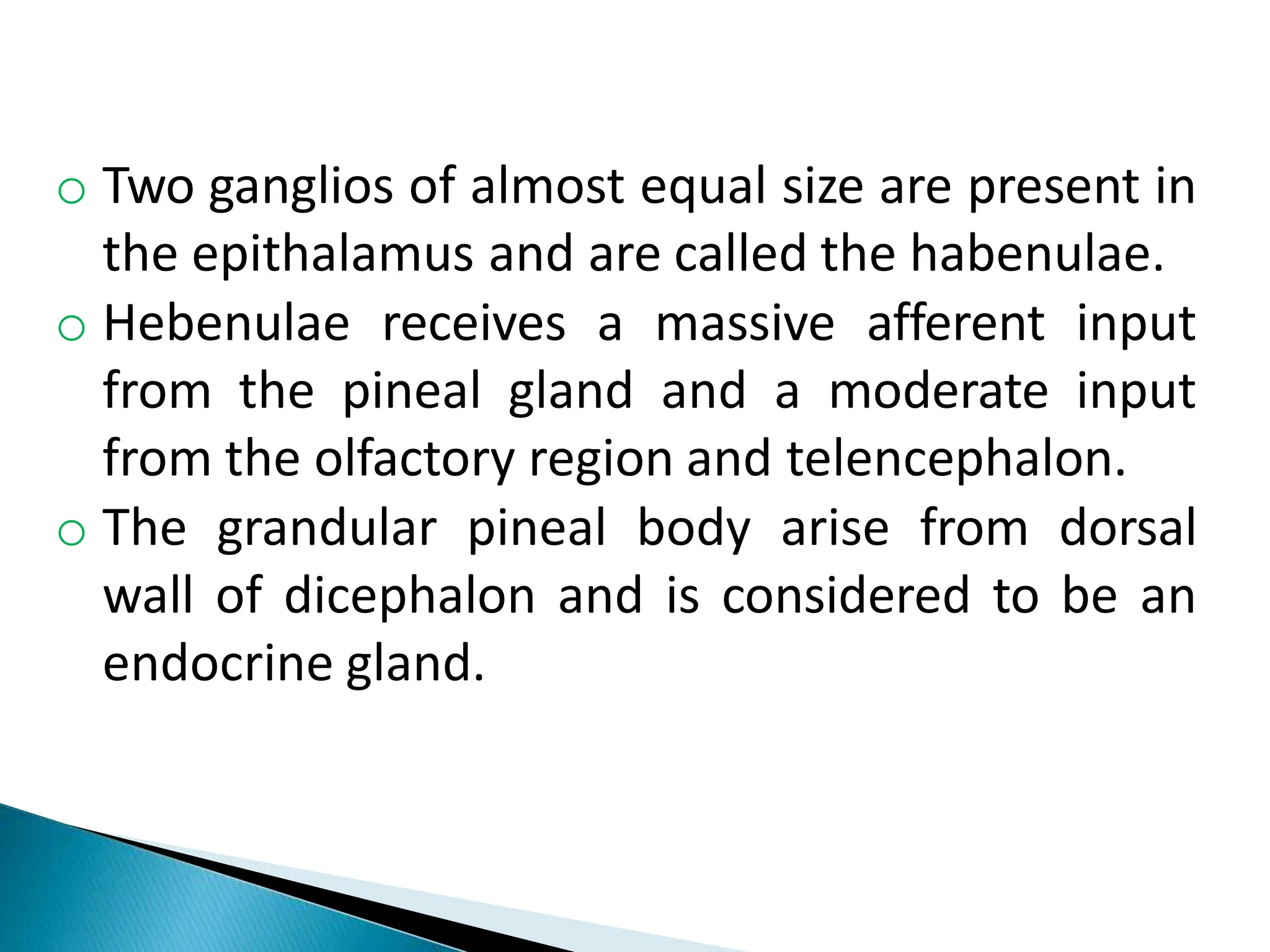 Nervous system of fish; a detailed study | PPTX