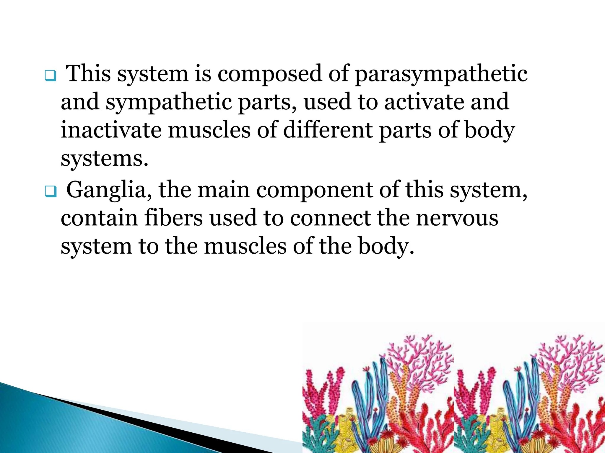 Nervous system of fish; a detailed study | PPTX