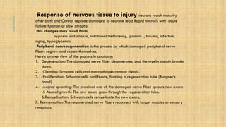 Nervous system of Human Beings Anatomy and physiology-1.pptx