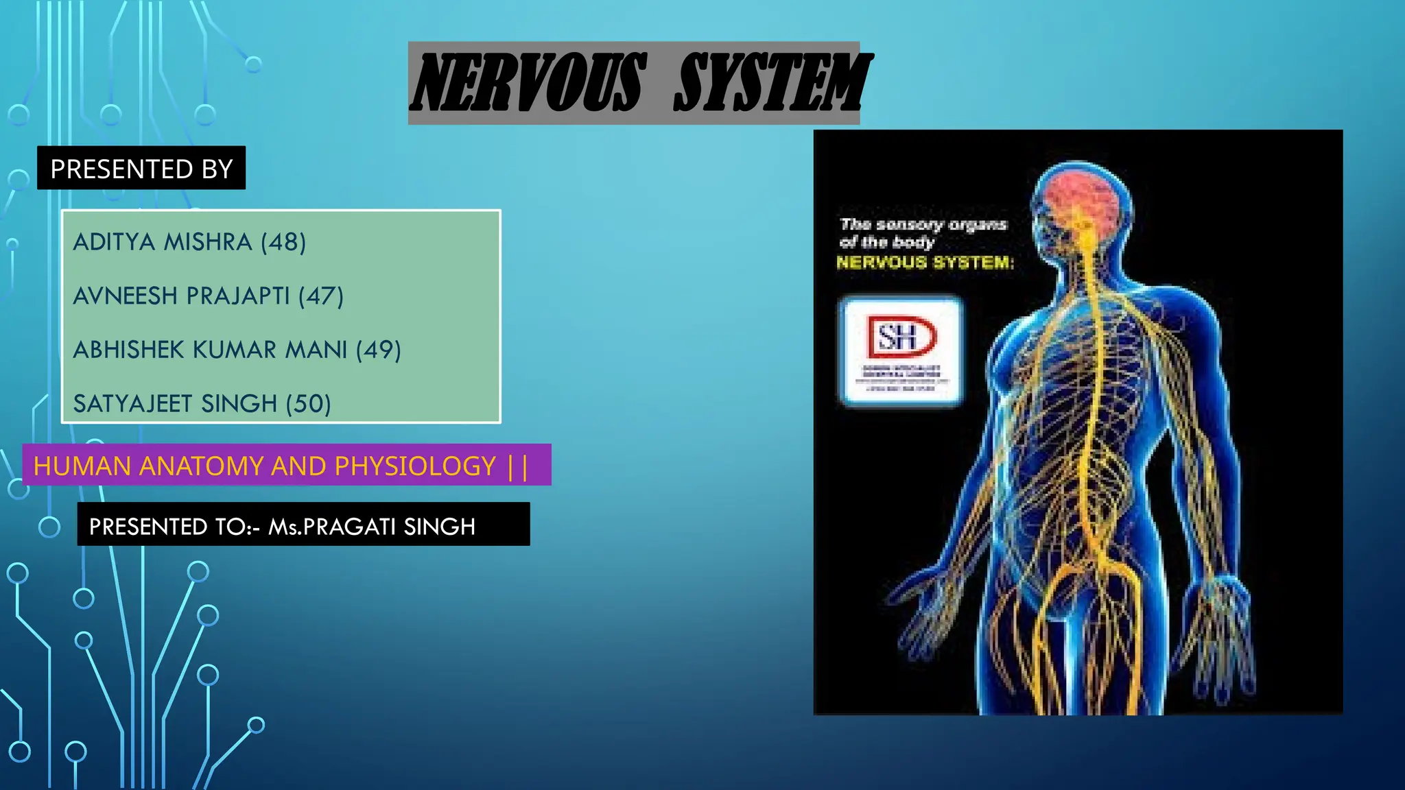 study of the Nervous system in detail-1.pptx