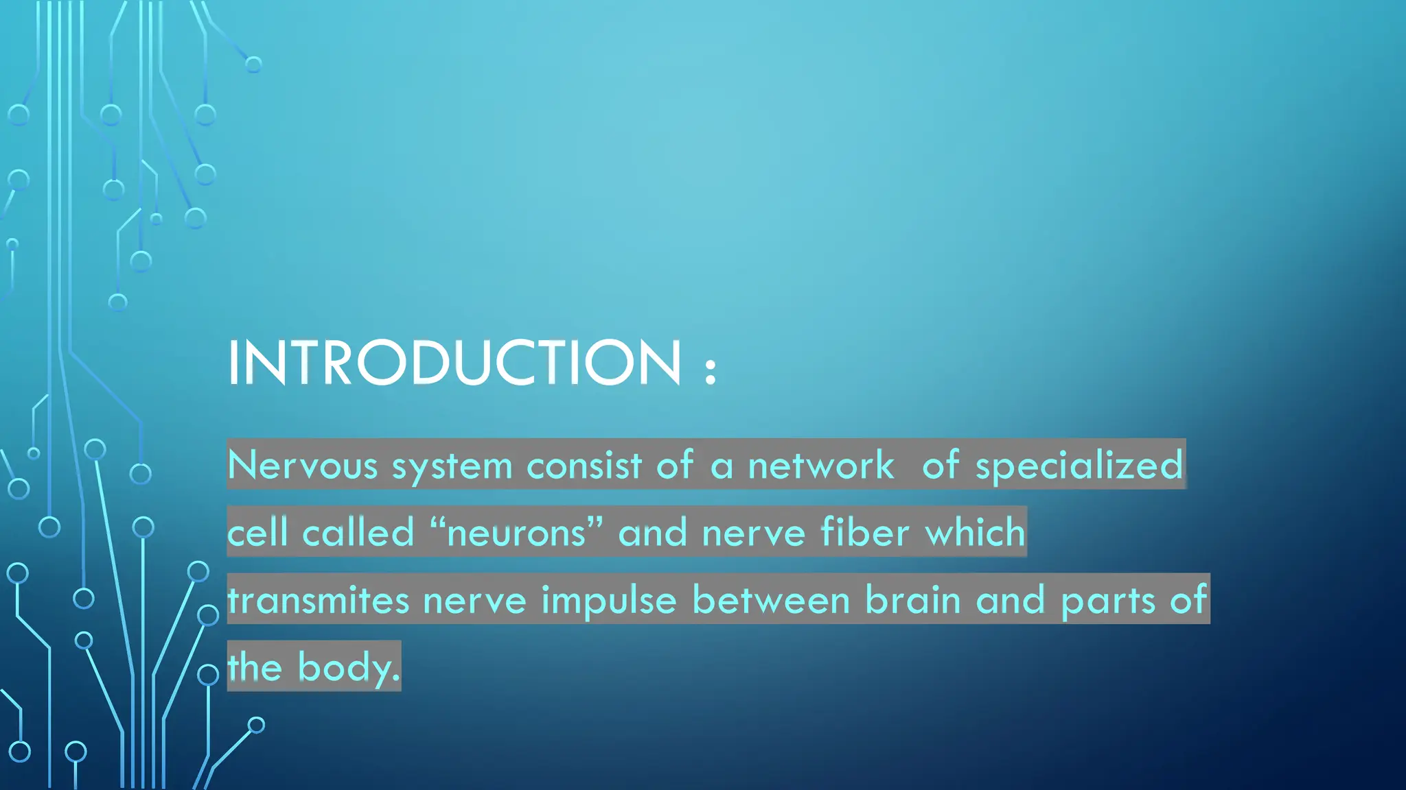 study of the Nervous system in detail-1.pptx