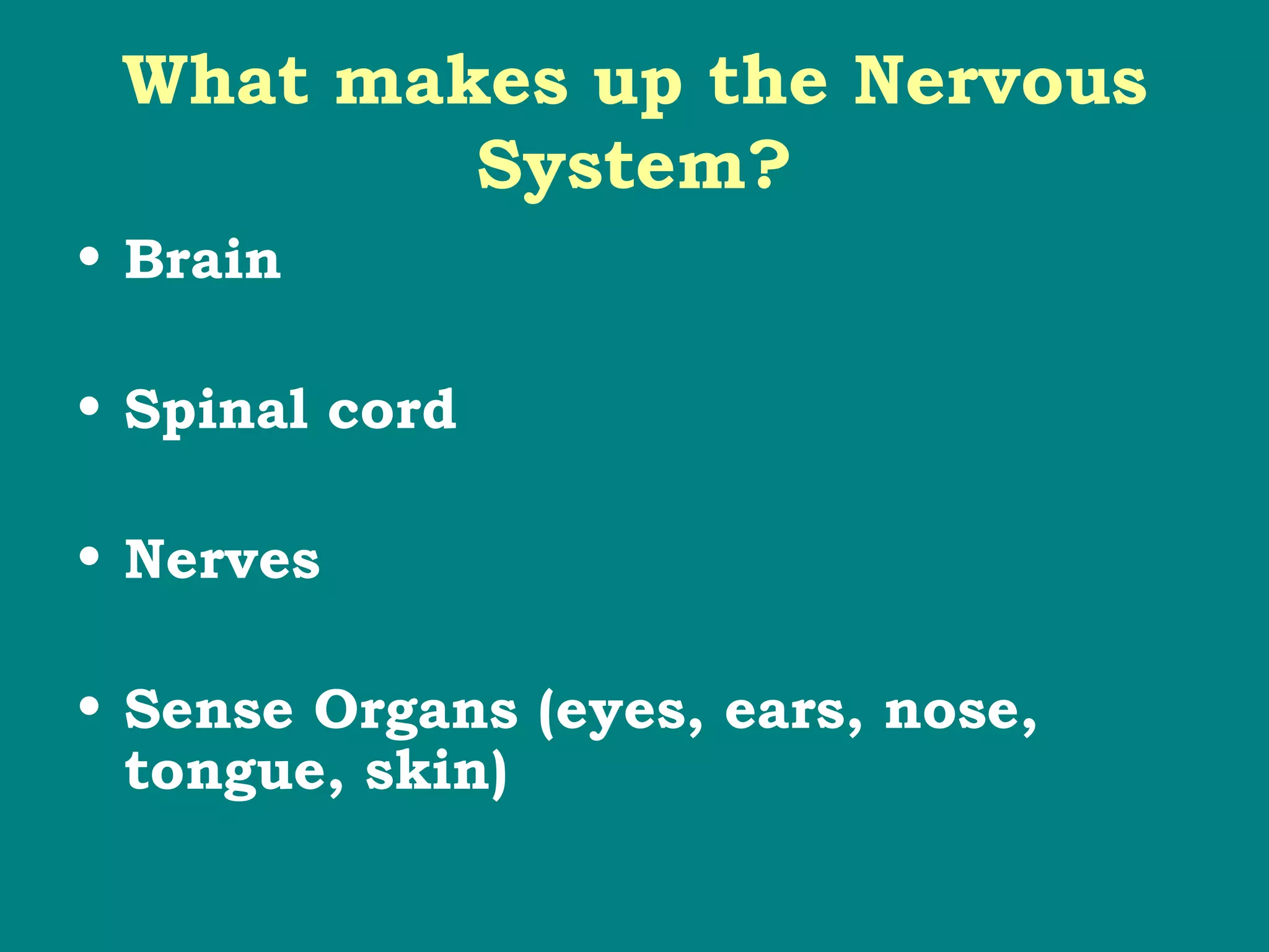 Nervous System Notes | PPT | Brain and Nervous System Disorders ...