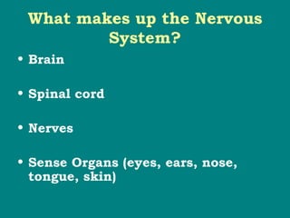 Nervous System Notes | PPT | Brain and Nervous System Disorders ...