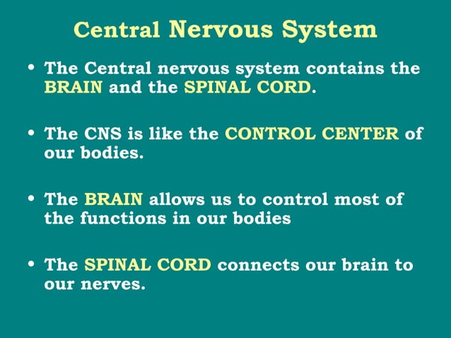 Nervous System Notes | PPT | Brain and Nervous System Disorders ...