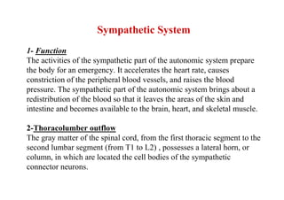 Nervous system | PPT