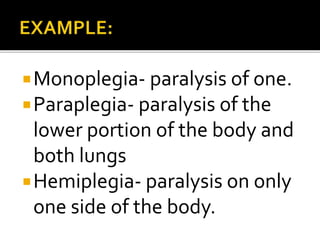 Nervous system | PPTX