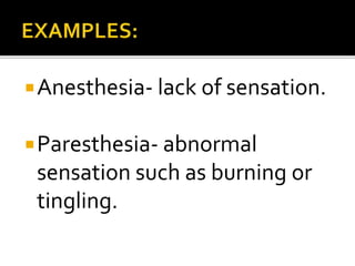 Nervous system | PPTX