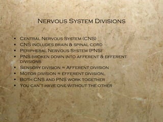 Nervous system | PPT