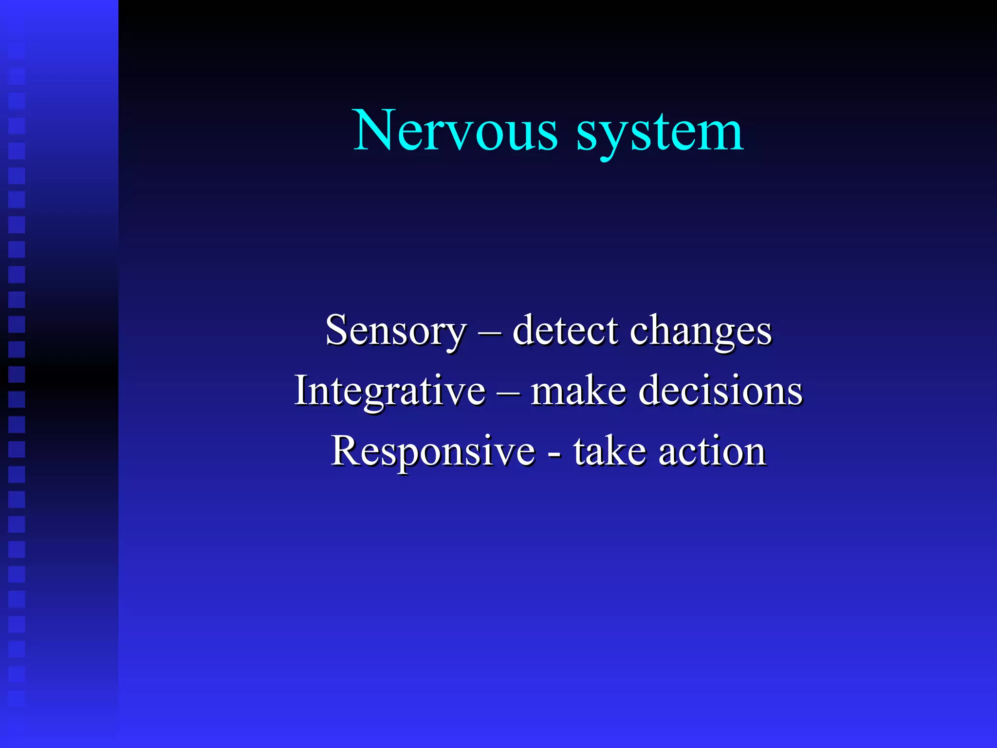 Nervous system | PPT