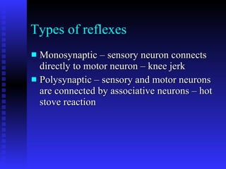 Nervous system | PPT