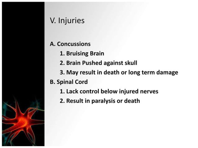 Nervous system | PPSX