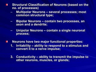 Nervous system | PPT