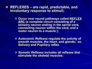 Nervous system | PPT