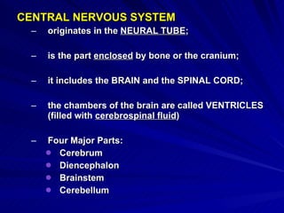 Nervous system | PPT