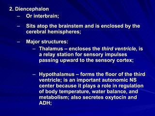 Nervous system | PPT