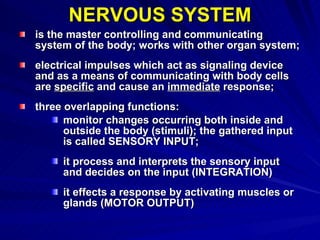 Nervous system | PPT