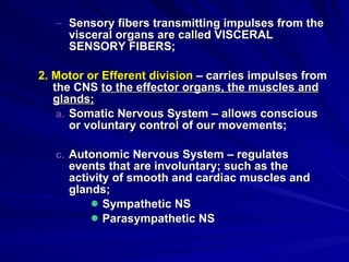 Nervous system | PPT