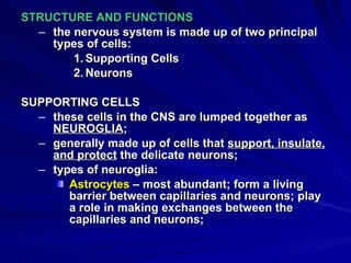 Nervous system | PPT