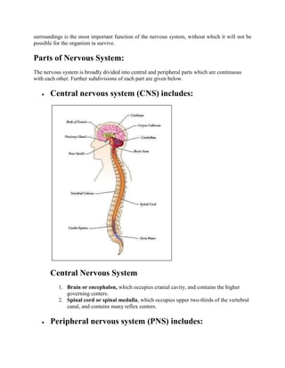 Nervous system | DOCX