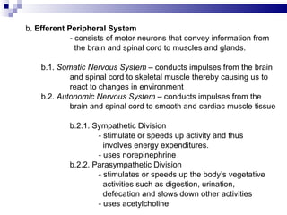 Nervous system | PPT | Brain and Nervous System Disorders | Diseases ...