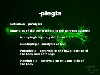 Nervous system | PPT