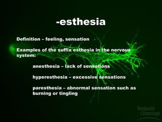 Nervous system | PPT