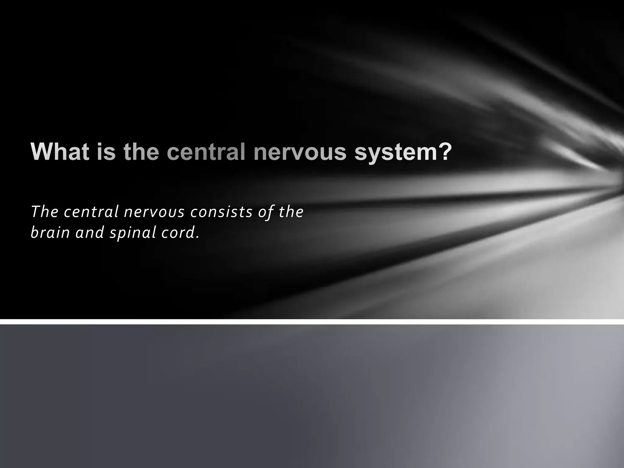 Nervous system | PPTX