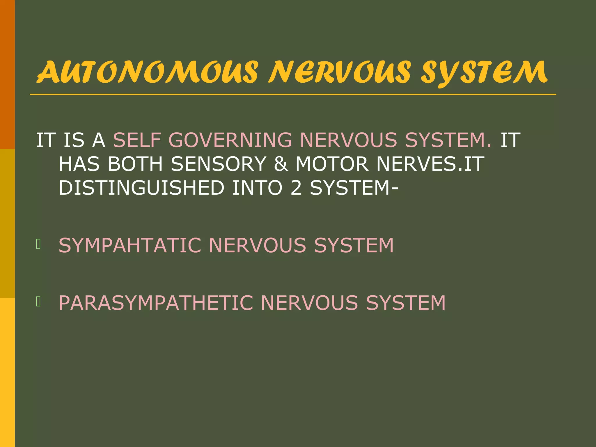 Nervous system | PPT