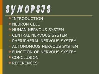 Nervous system | PPT