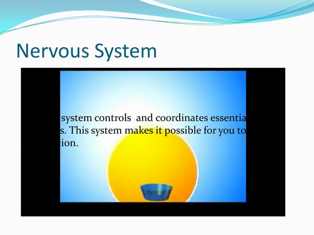 Nervous system | PPTX