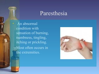 Nervous system | PPT