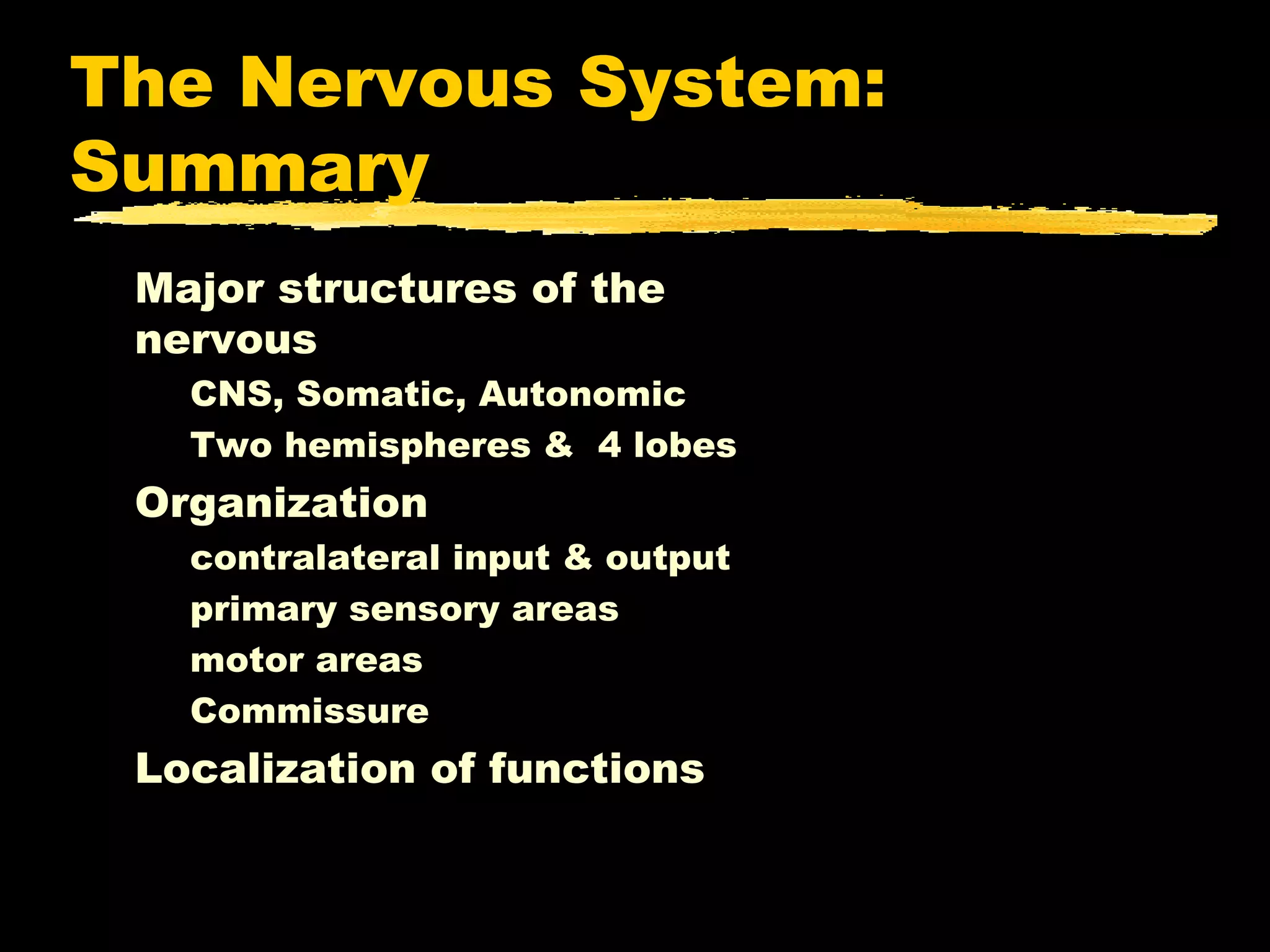 Nervous system | PPT