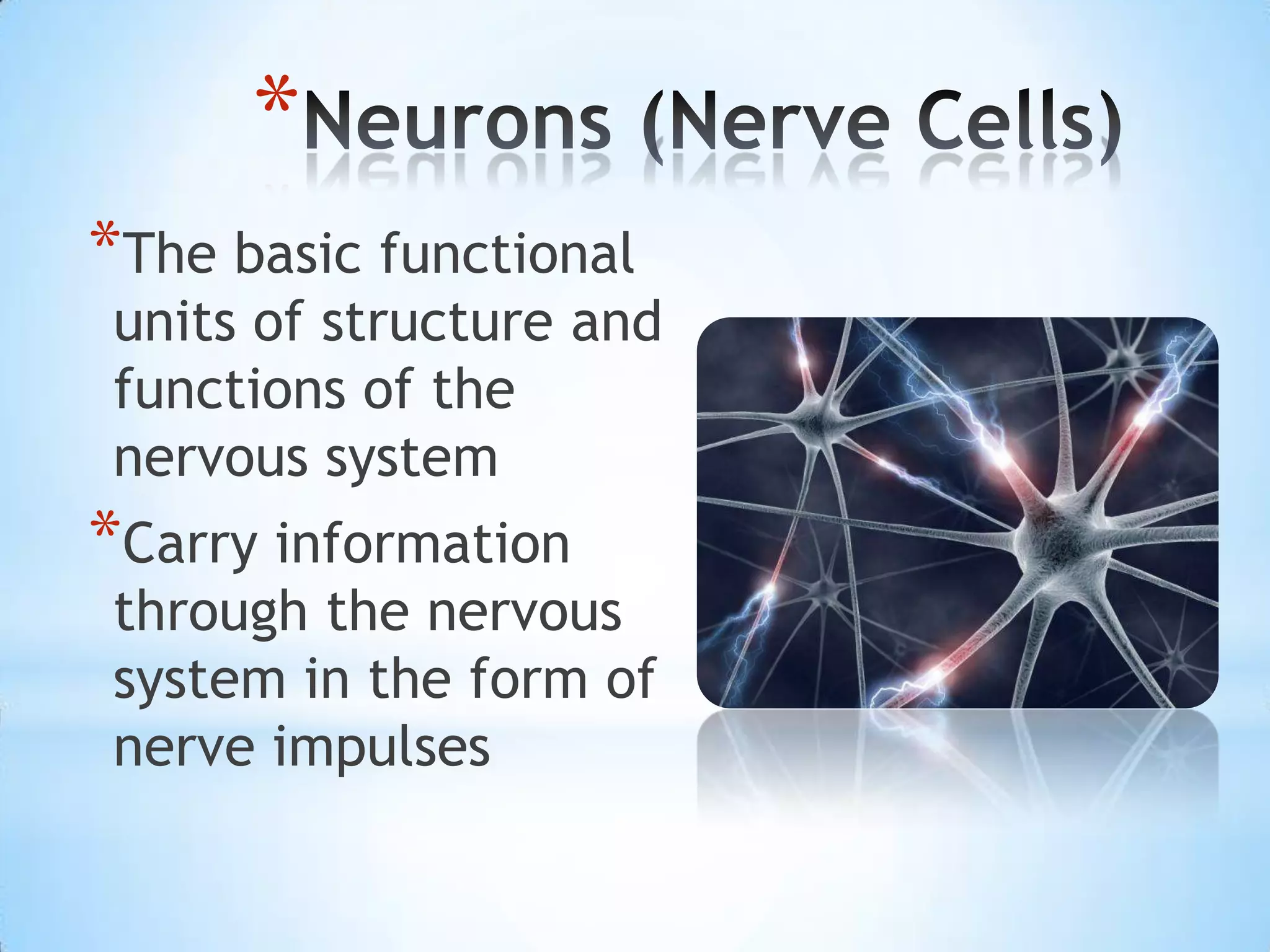 Nervous system | PPTX