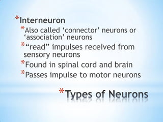 Nervous system | PPTX