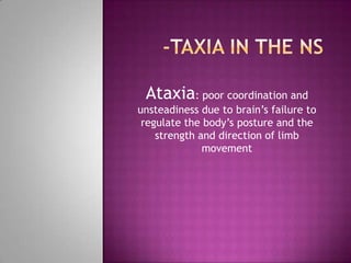 Chapter 12 Nervous system | PPTX