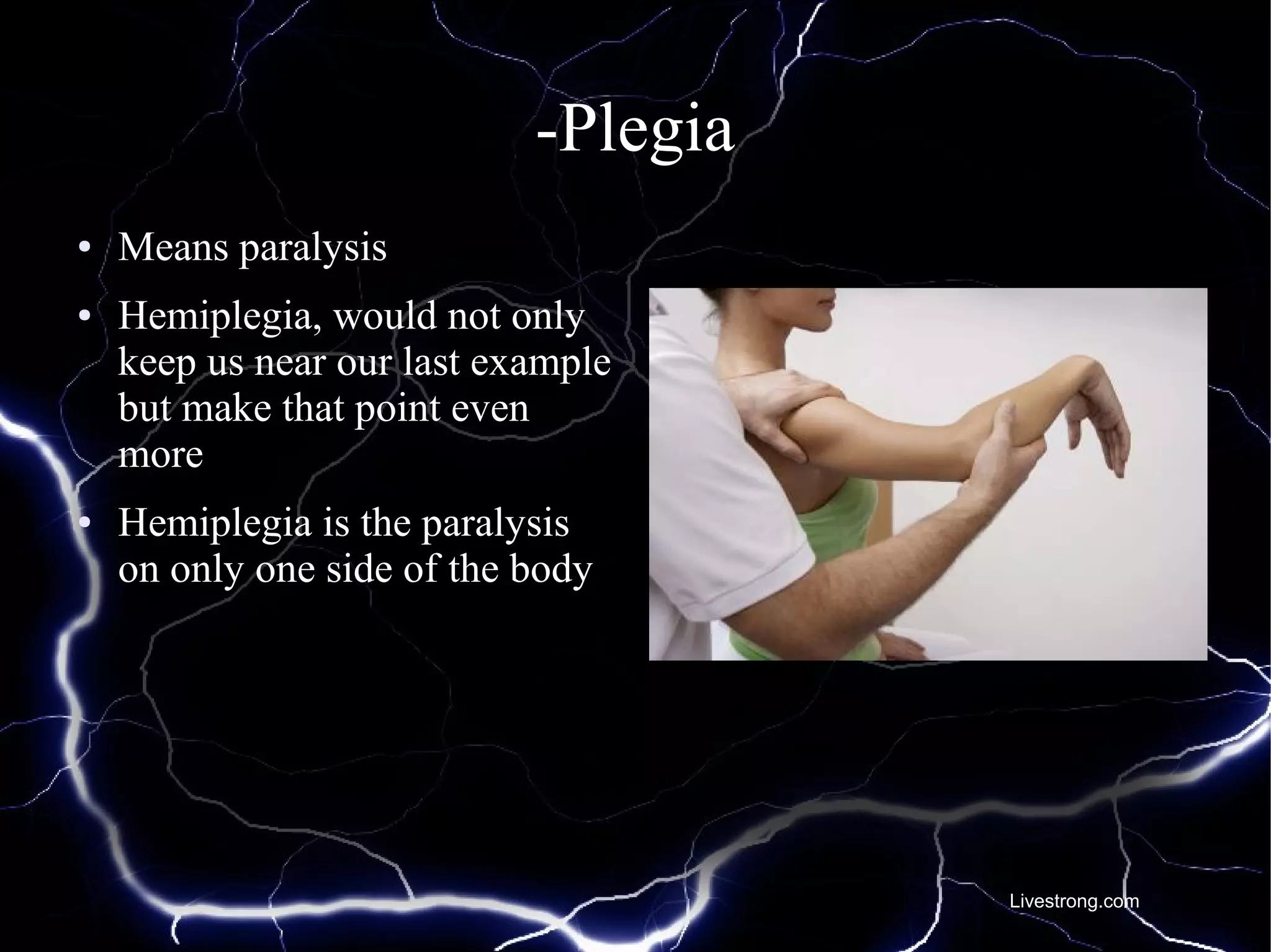 Nervous system | ODP