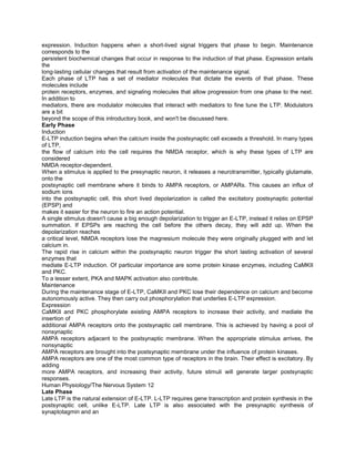 Nervous system | DOCX