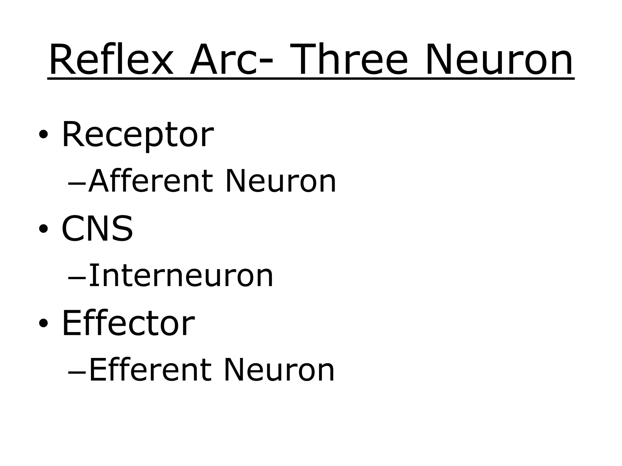 Nervous system.yocum.2014
