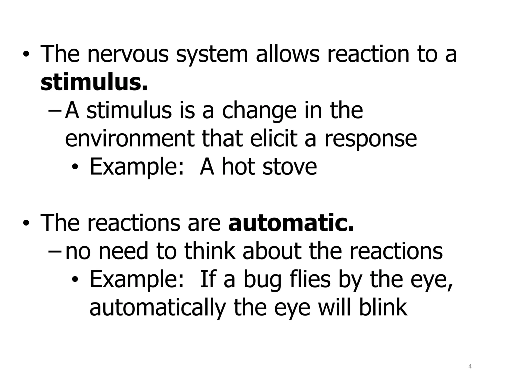Nervous system | PDF