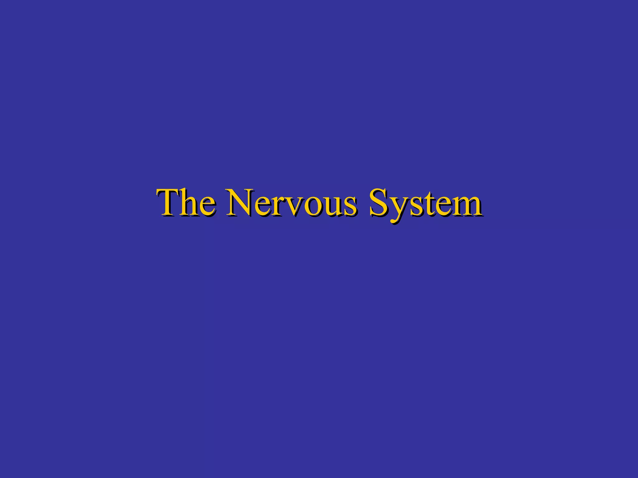 Nervous system | PPT