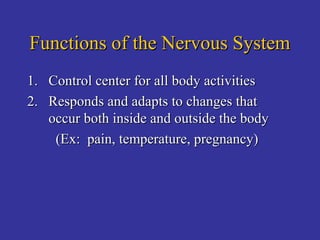 Nervous system | PPT