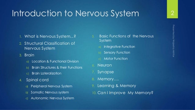 Introduction To Nervous System