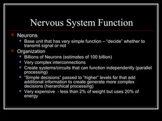 Nervous system | PPT