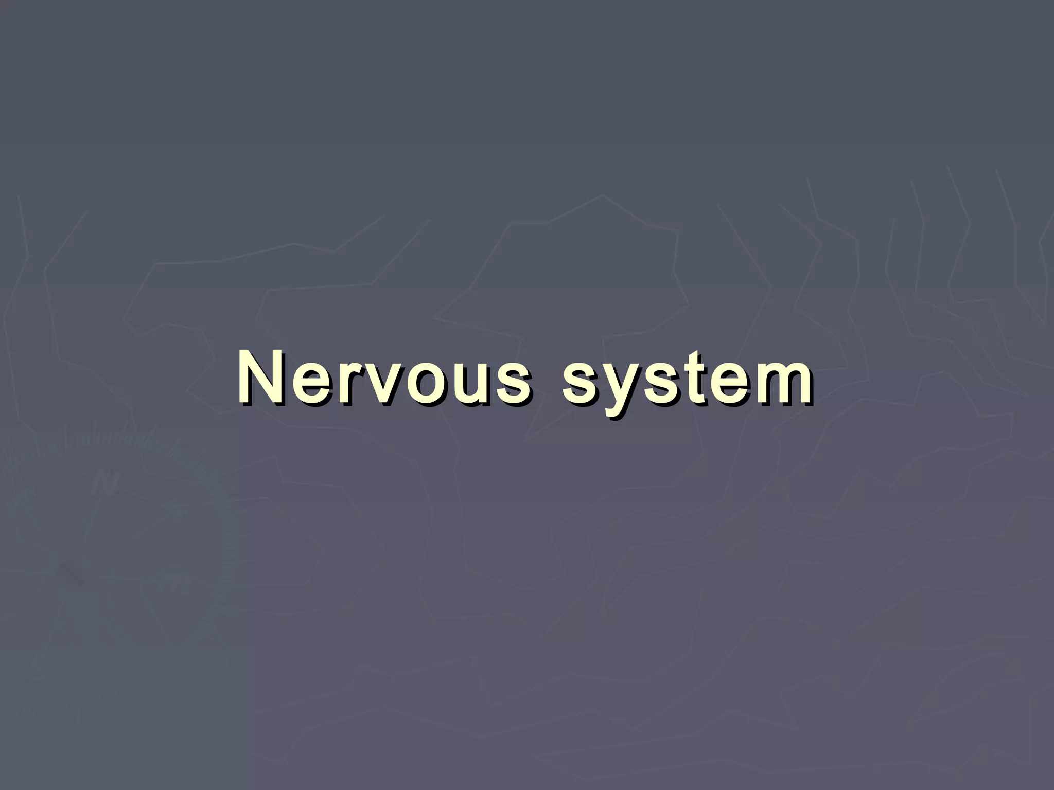 Nervous system | PPT