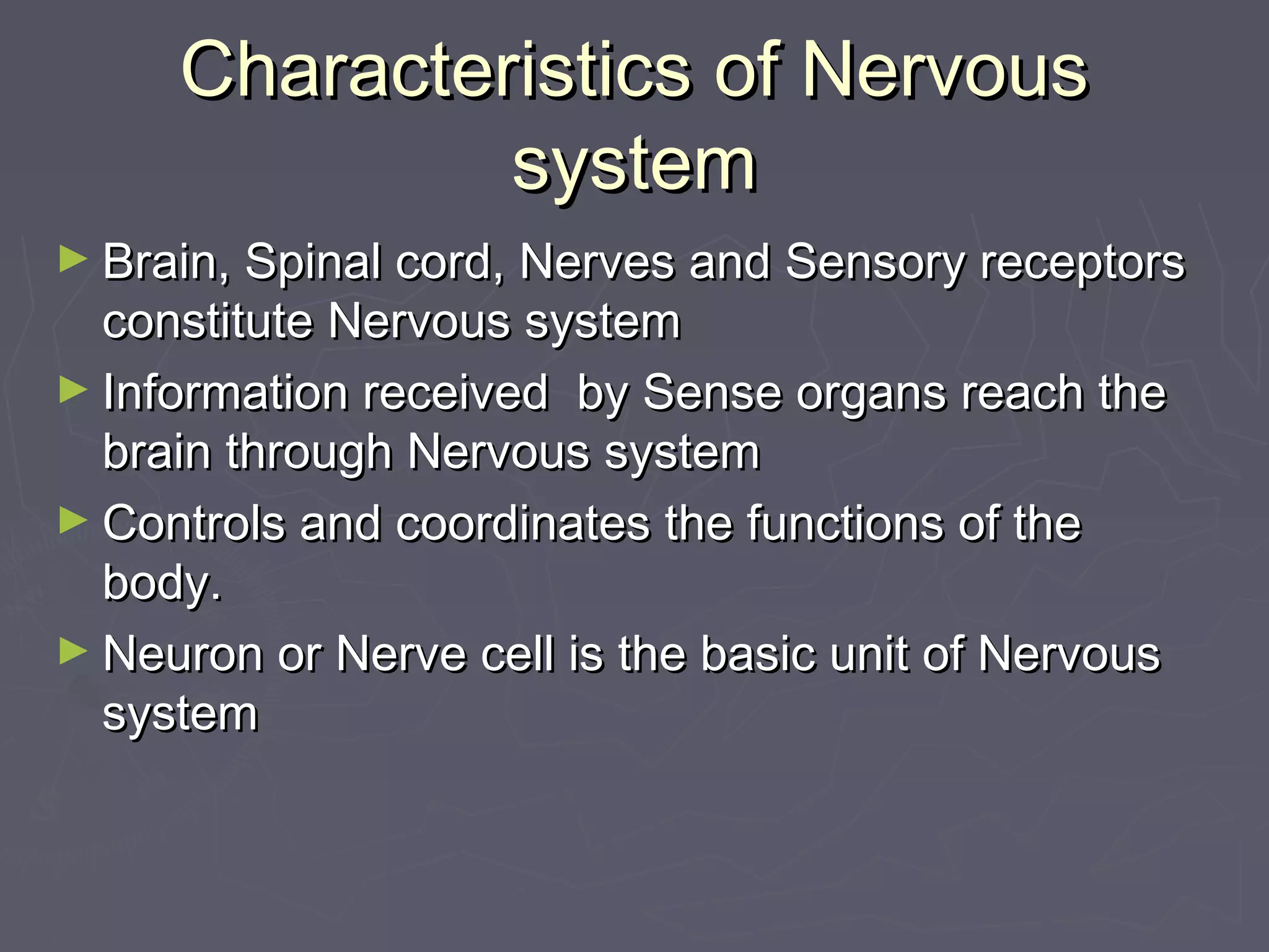 Nervous system | PPT
