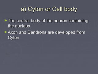 Nervous system | PPT