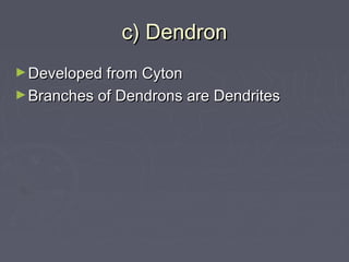 Nervous system | PPT