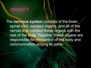 Nervous system | PPT