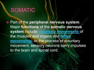 Nervous system | PPT
